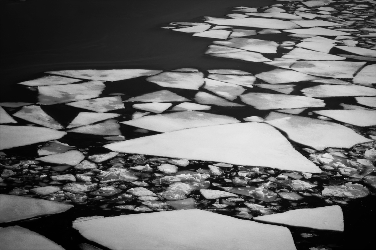 suzanne rose | fine art photography