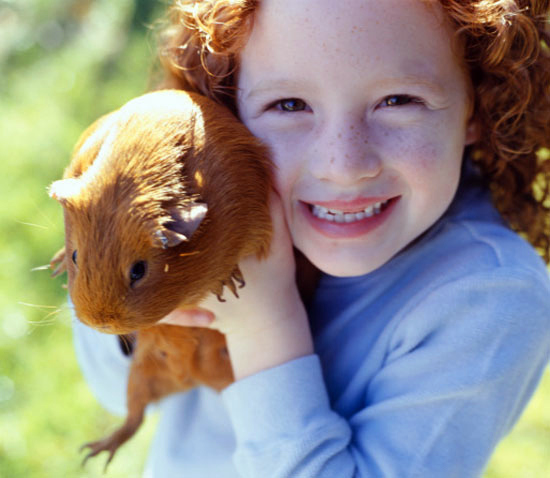 We Love Morčatá: *Druhy Morčiat*