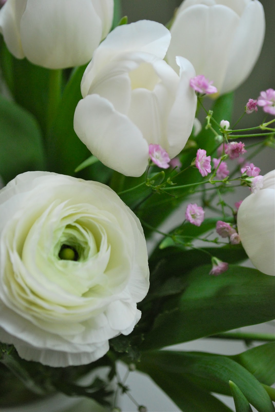 Fröken Gröns Blogg: Tulpaner och ranunkler