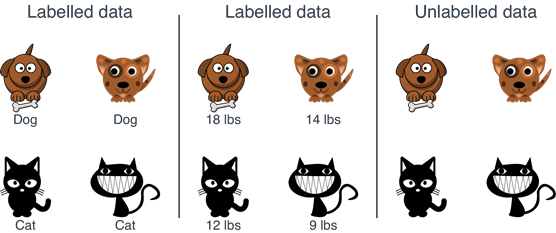 Linear Regression Vs Logistic Regression - Pianalytix - Build Real ... Linear Regression Vs Logistic Regression - Pianalytix - Build Real ...