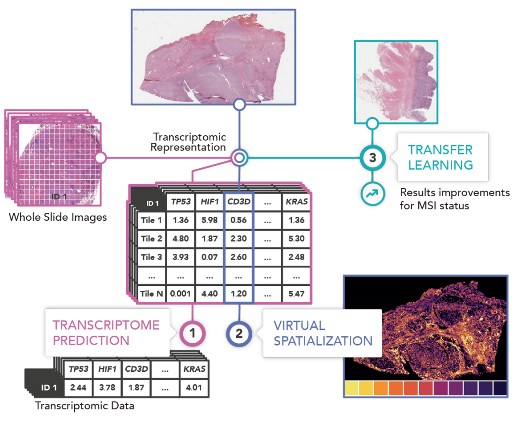 Integrating Multimodal Data to Meet Clinical Challenges - OWKIN Machine ... Integrating Multimodal Data to Meet Clinical Challenges - OWKIN Machine ...