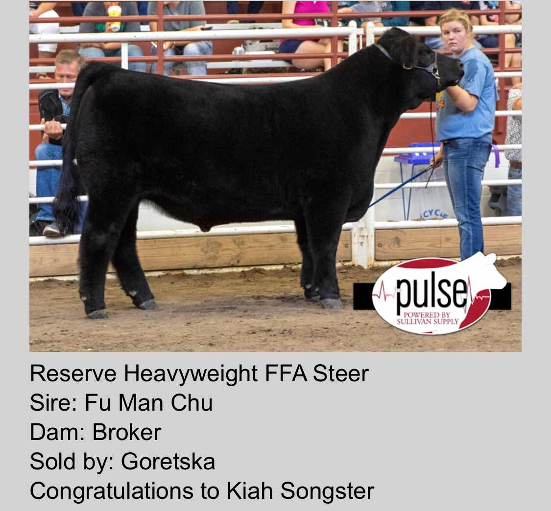 RCC Blog: Hi Ho Silver and Fu Man Chu Sire Champion Heavyweight FFA ...