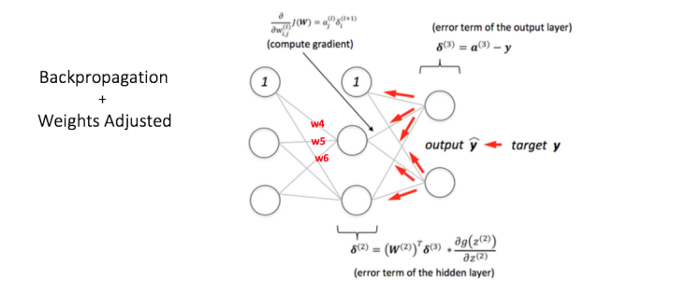 What Is The Difference Between Back Propagation And Feed Forward Neural