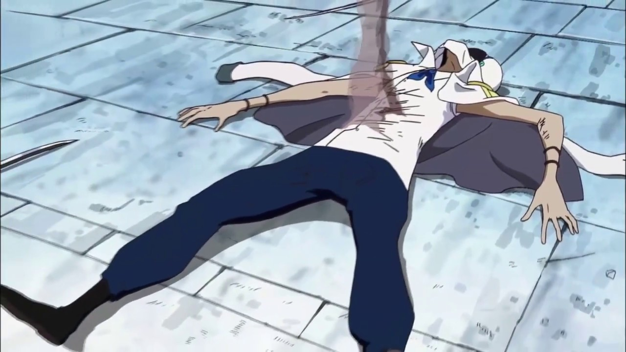 Sabi Sabi No Mi In One Piece