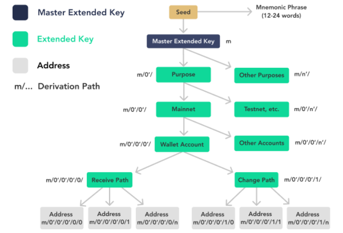 What Are Hierarchical Deterministic (HD) Crypto Wallets? - ImmuneBytes What Are Hierarchical Deterministic (HD) Crypto Wallets? - ImmuneBytes