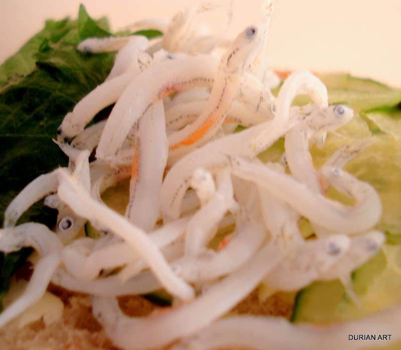 shirasu fish bait | GOURMANDE in OSAKA