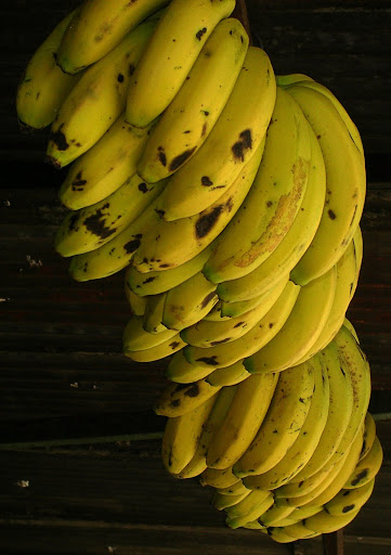 Apartaderos: Fotos de El Hatillo: La Frutería de la Unión