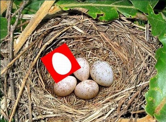 Famous logos in real life - 40 | WOW Architecture