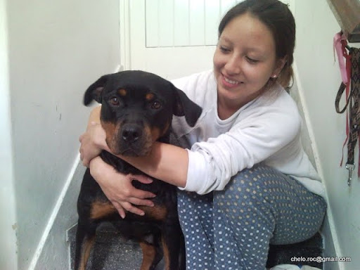 Regalale tu cariño a un perro de puro "CORAZON"