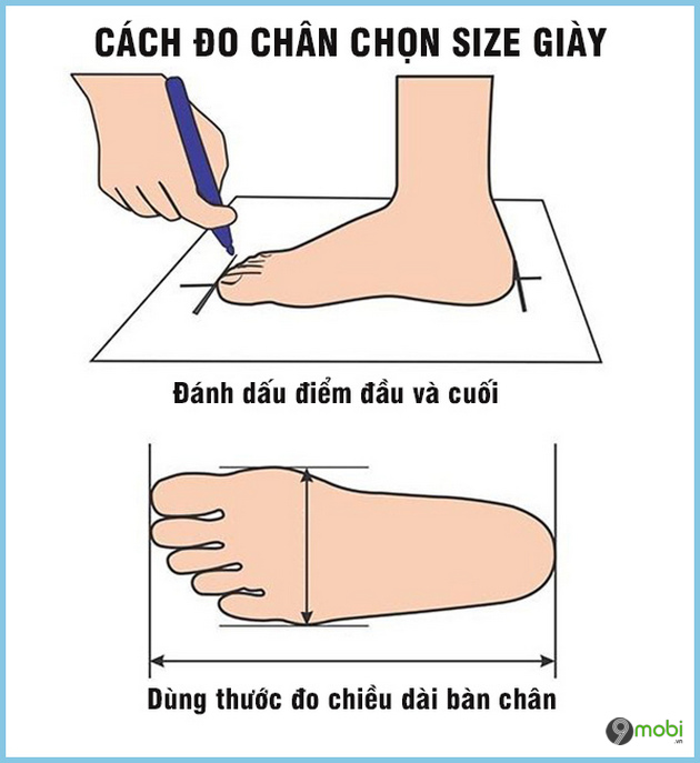 Hướng Dẫn Chọn Size Giày Uk Adidas Vừa Vặn Khi Mua Online Giayadidas