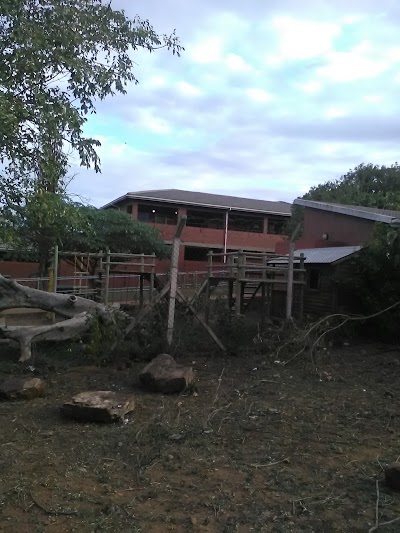 Jozini Primary School, School at Jozini, 3969 - South Africa