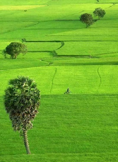 Tuas View Dormitory, Singapore - Singapore