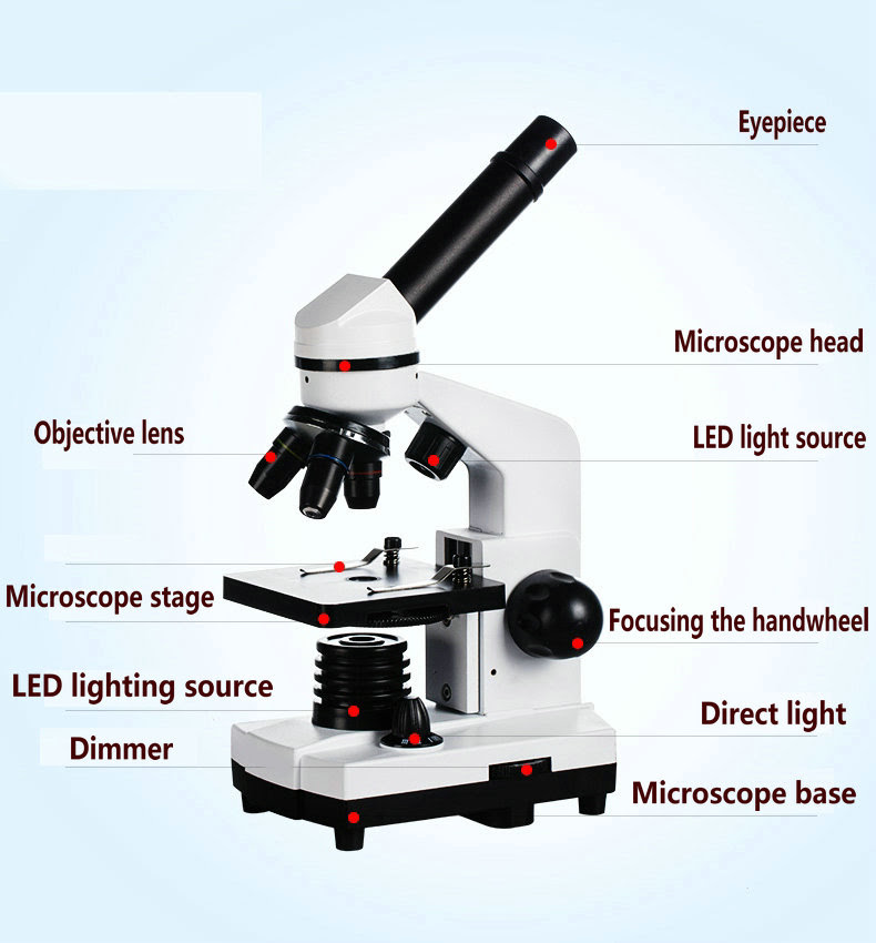 Student Biological Microscope 1600X Animal And Plant Blood Analysis ...