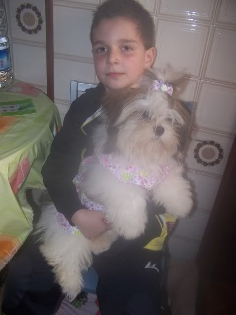 Bienvenido a mi blog de cocina, de mis mascotas y mi familia: Mi ... Bienvenido a mi blog de cocina, de mis mascotas y mi familia: Mi ...