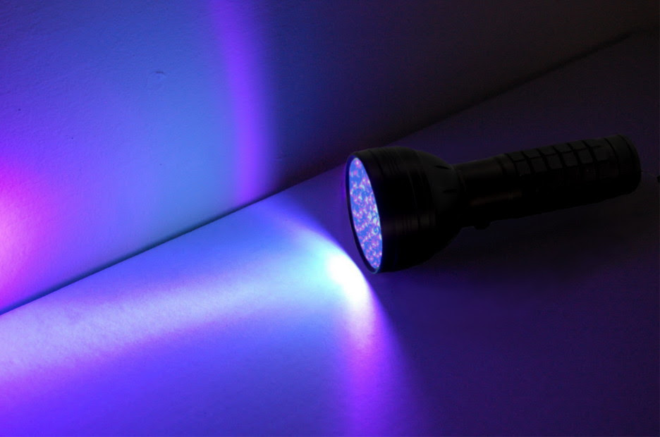 Bed Bugs Under Uv Light Moreoo
