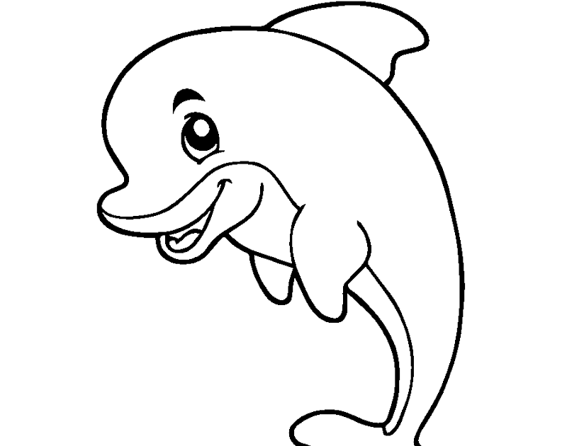 Gambar Ikan Hiu Anak Tk Gambar Ikan Hiu Anak Tk