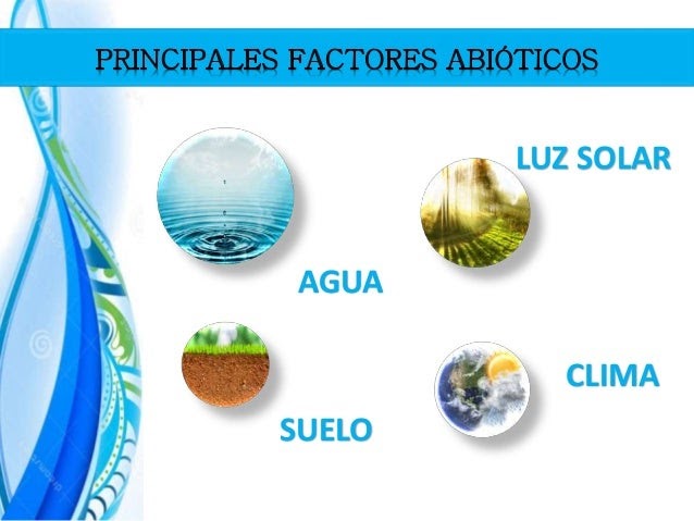 Cuales Son Los Factores Bioticos Y Abioticos De Un Ec - vrogue.co Cuales Son Los Factores Bioticos Y Abioticos De Un Ec - vrogue.co