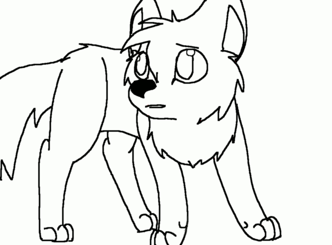 Populer Anime Wolves Animasiexpo
