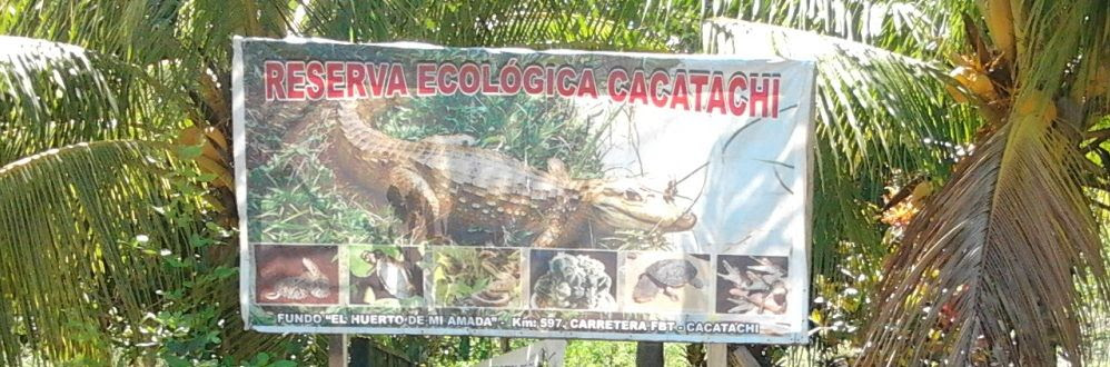 Reserva Ecológica Cacatachi (REC) Reserva Ecológica Cacatachi (REC)