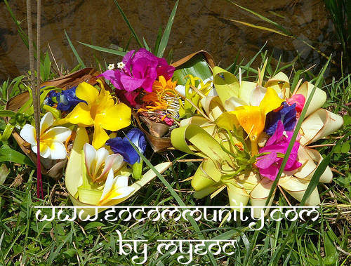 Image 14841916bd106f794434c2480c61ccea2aa18a3f