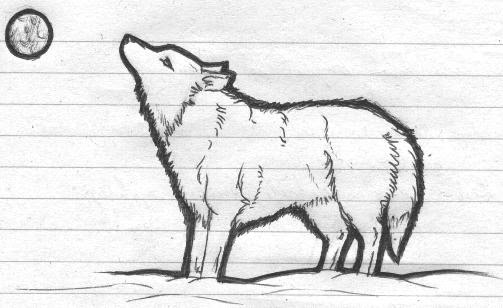 Anime Wolves Mating