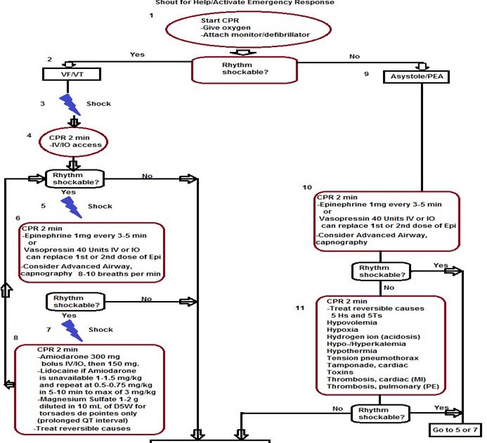 Acls Algorithm Vtach No Pulse Pediatric Tachycardia A - vrogue.co Acls Algorithm Vtach No Pulse Pediatric Tachycardia A - vrogue.co