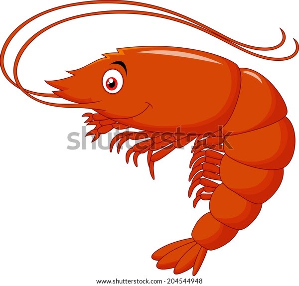 Gambar Udang Kartun Terbaru 30 Gambar Kartun Udang Galah Download Bermacam Contoh Gambar Udang