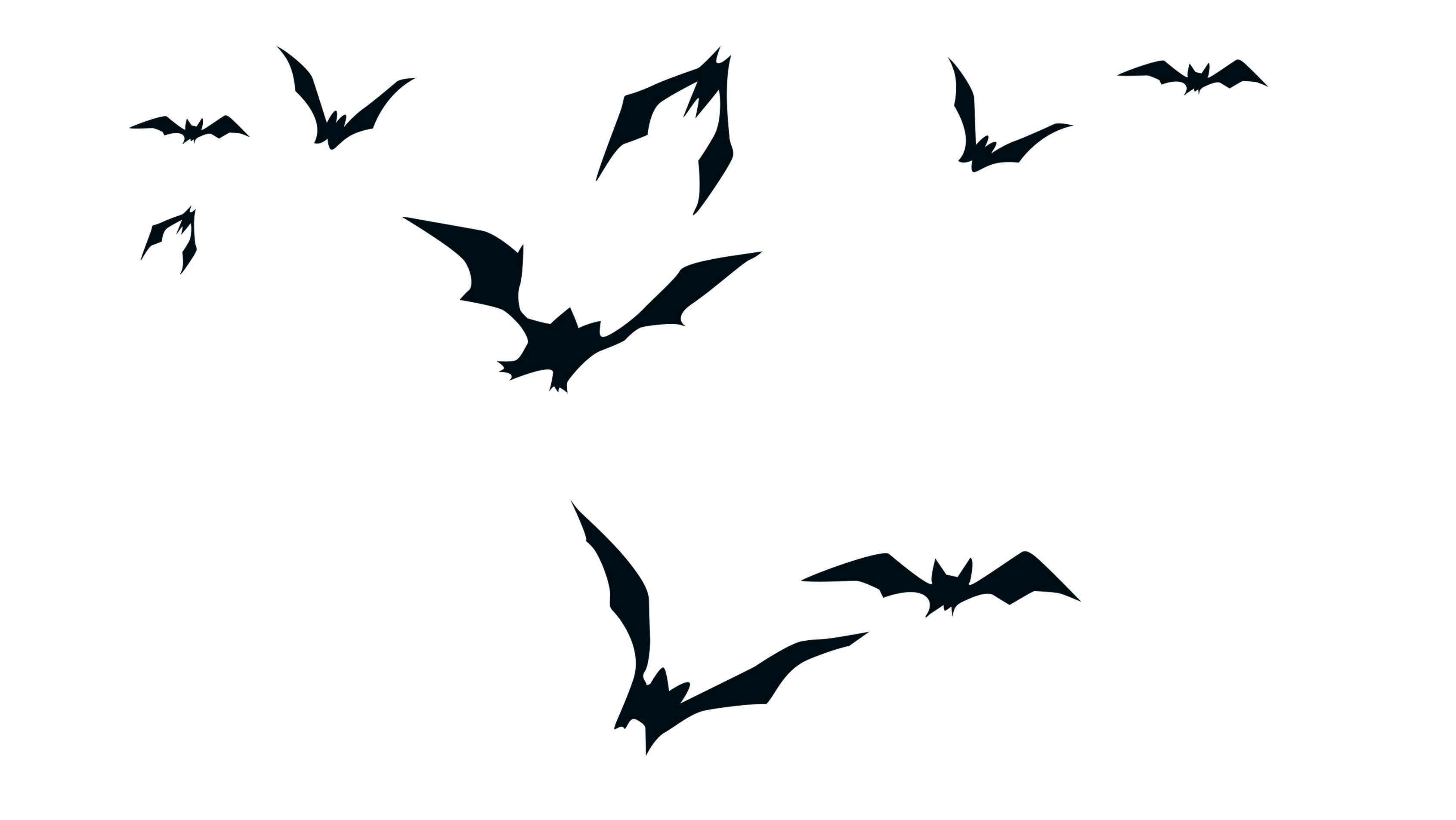 Flying Bat Background Png Image Png Play