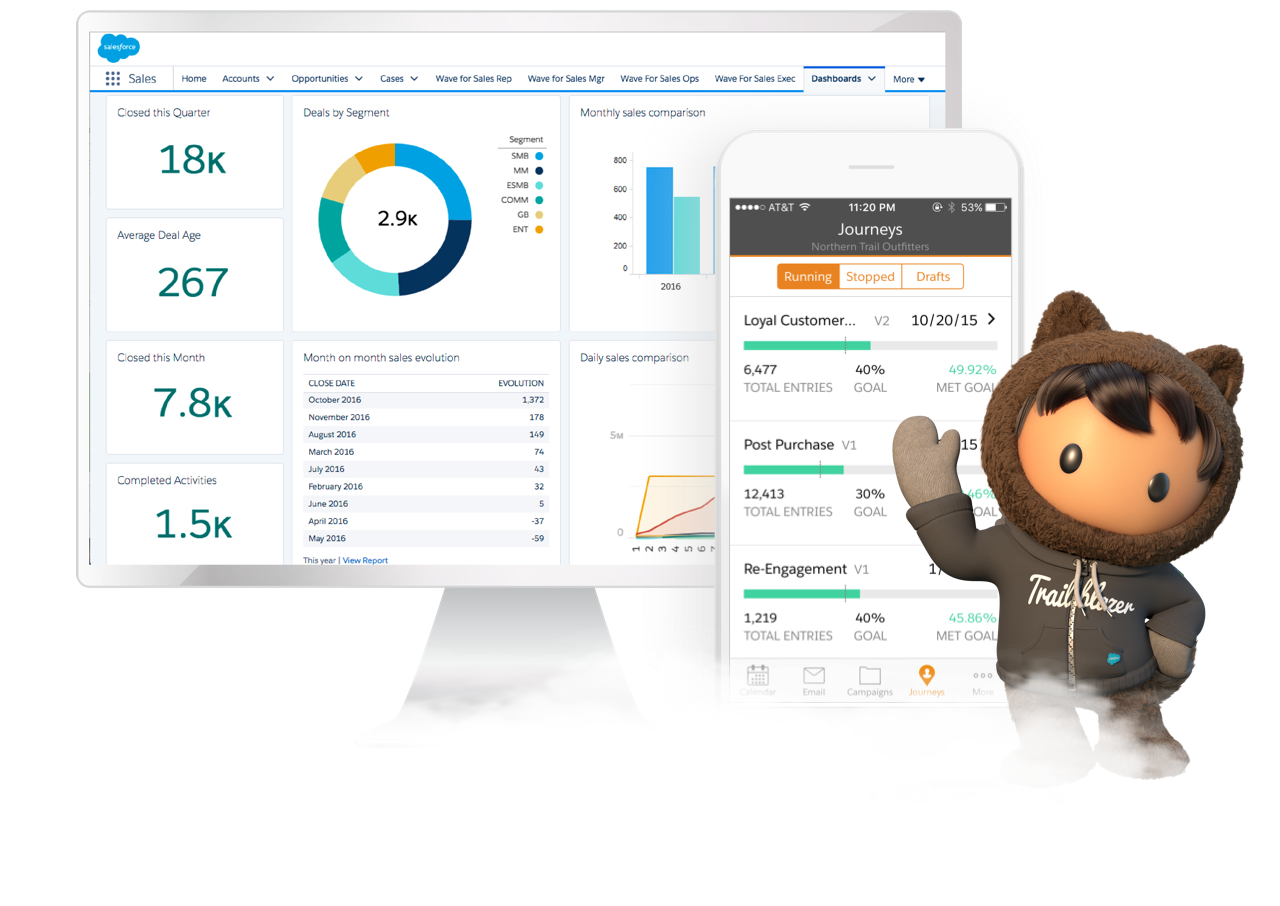 The Salesforce Masterclass