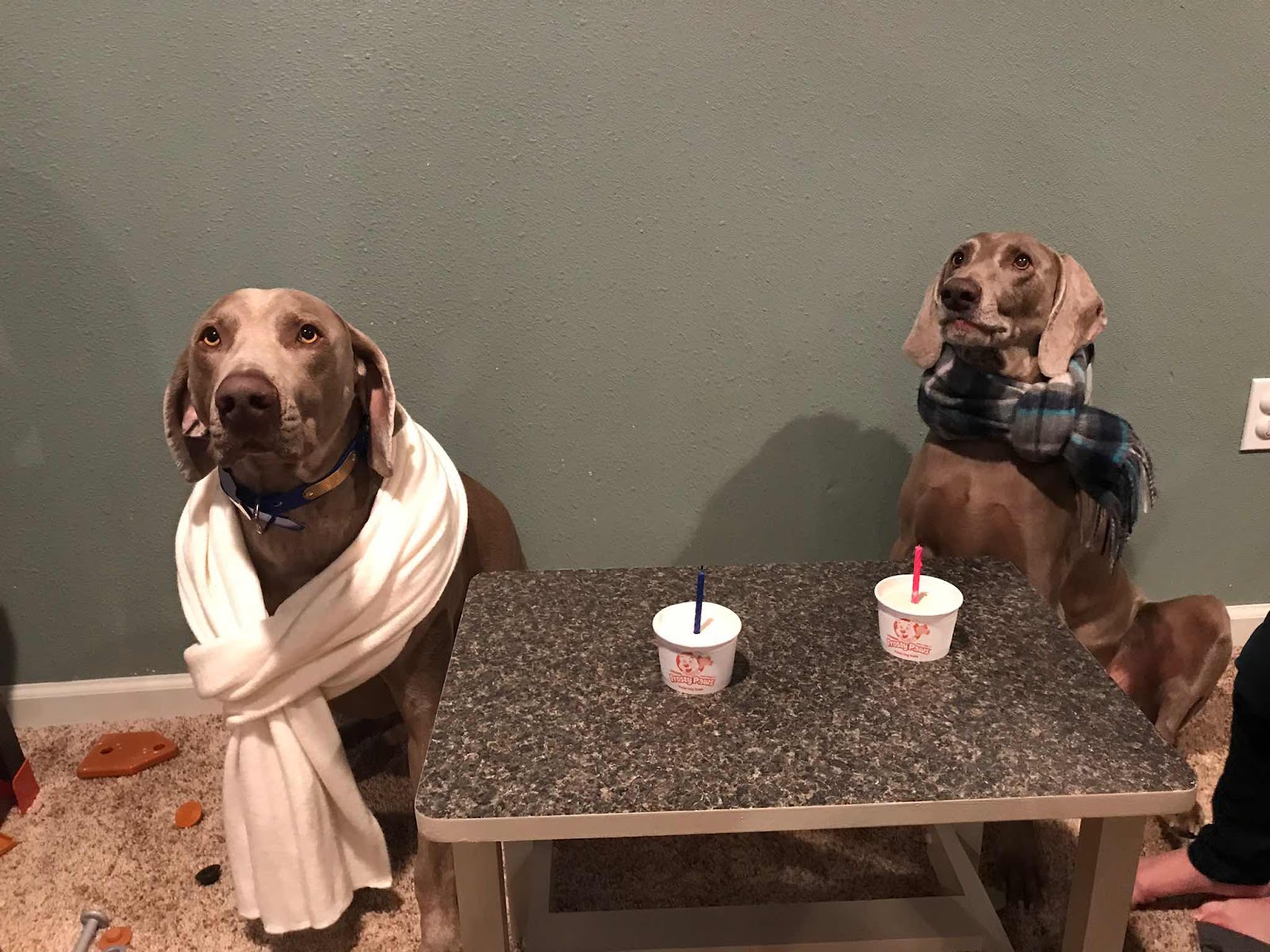 Dustin, Robynn, Stella, Mason & Marley